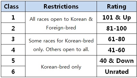 Korea’s New Rating System Explained | Horse Racing in Korea