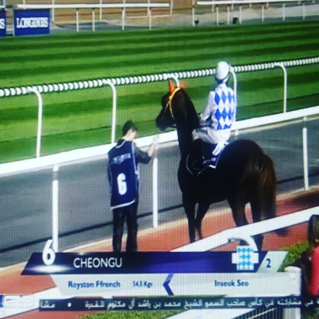 12 | January | 2016 | Horse Racing in Korea