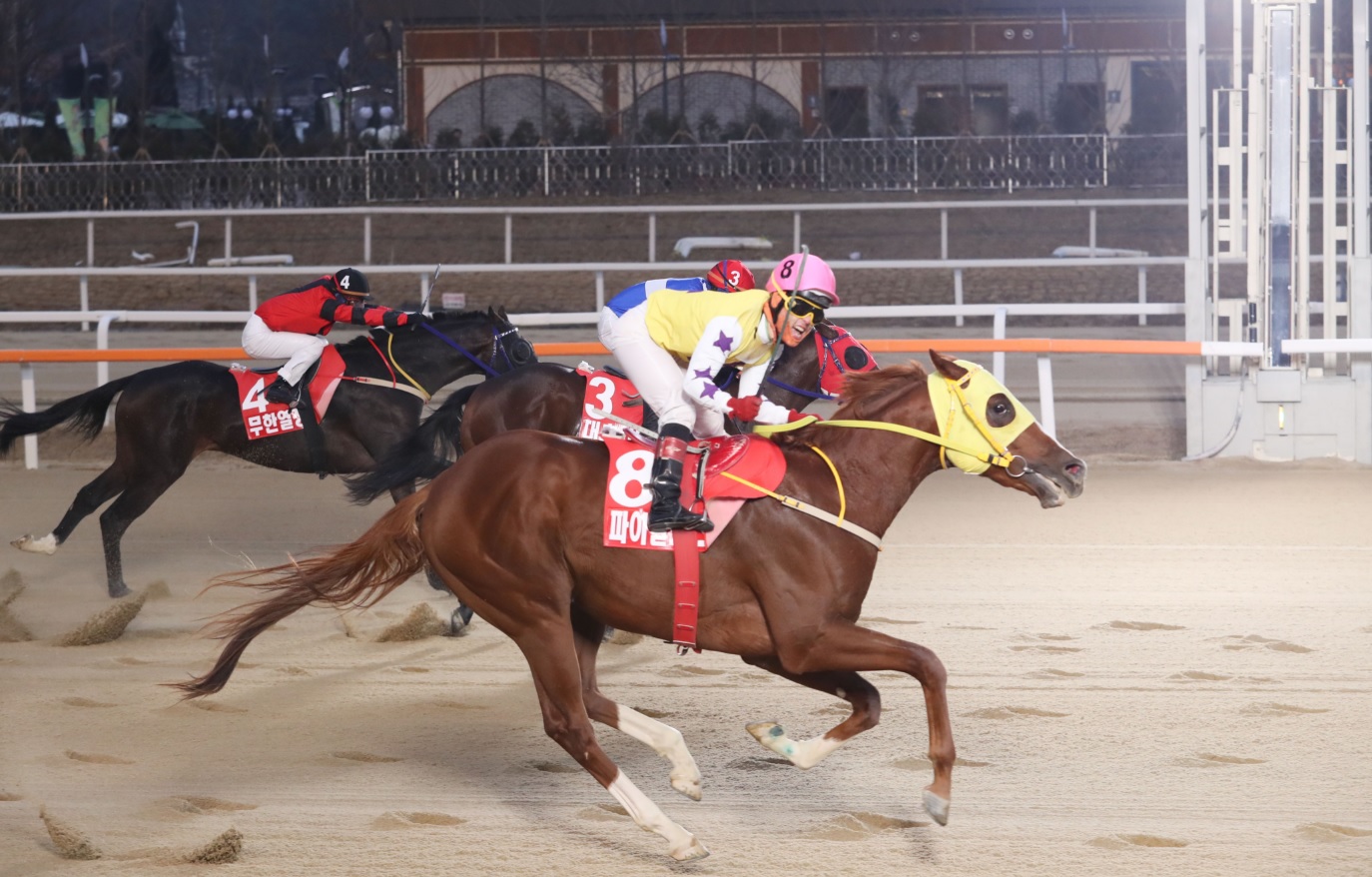 01 | April | 2017 | Horse Racing in Korea