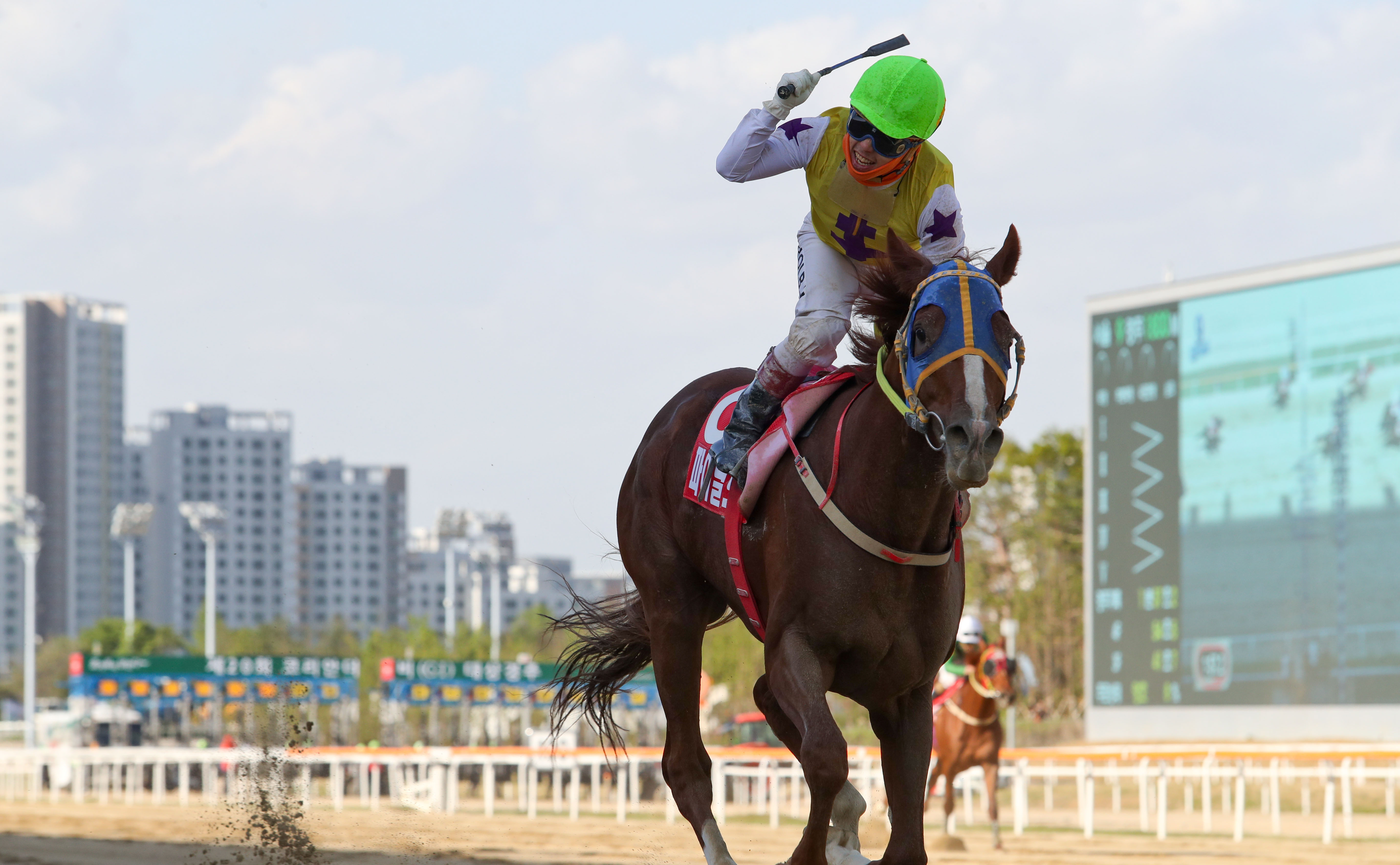 Seoul Sunday – Minister’s Cup Day: Race-By-Race Preview (July 16 ...