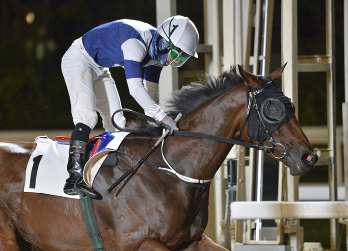 Seoul Saturday: Race-By-Race Preview (October 20) | Horse Racing in Korea