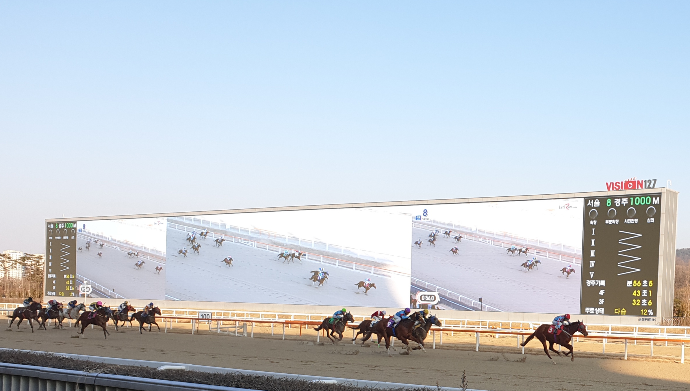 Seoul Saturday: Race-By-Race Preview (February 8) | Horse Racing in Korea