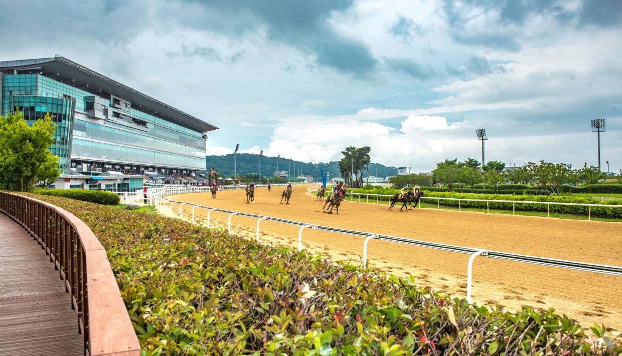 Horse Racing in Korea | Korea Racing Blog