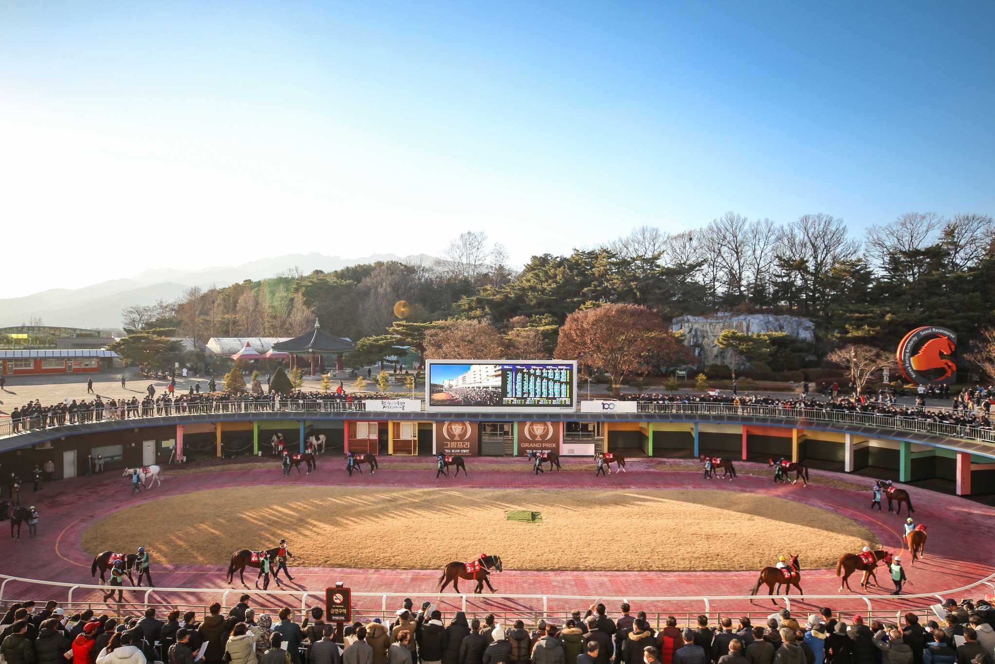 Horse Racing in Korea | Korea Racing Blog