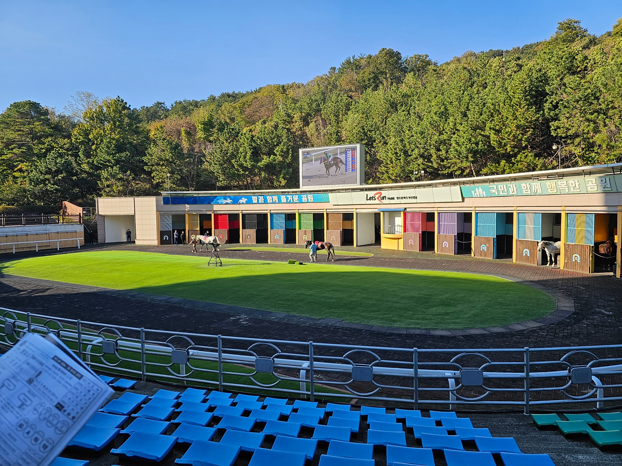 Horse Racing in Korea | Korea Racing Blog