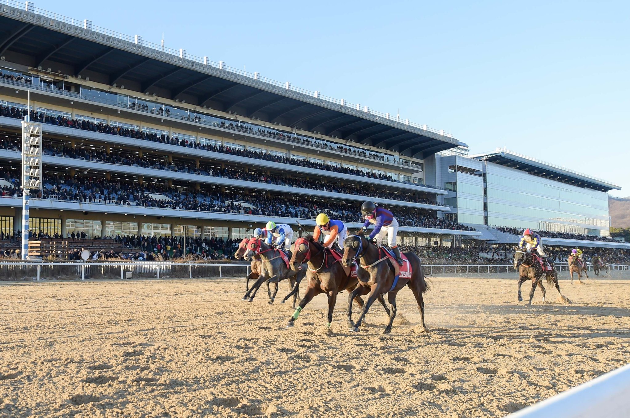 Horse Racing in Korea | Korea Racing Blog