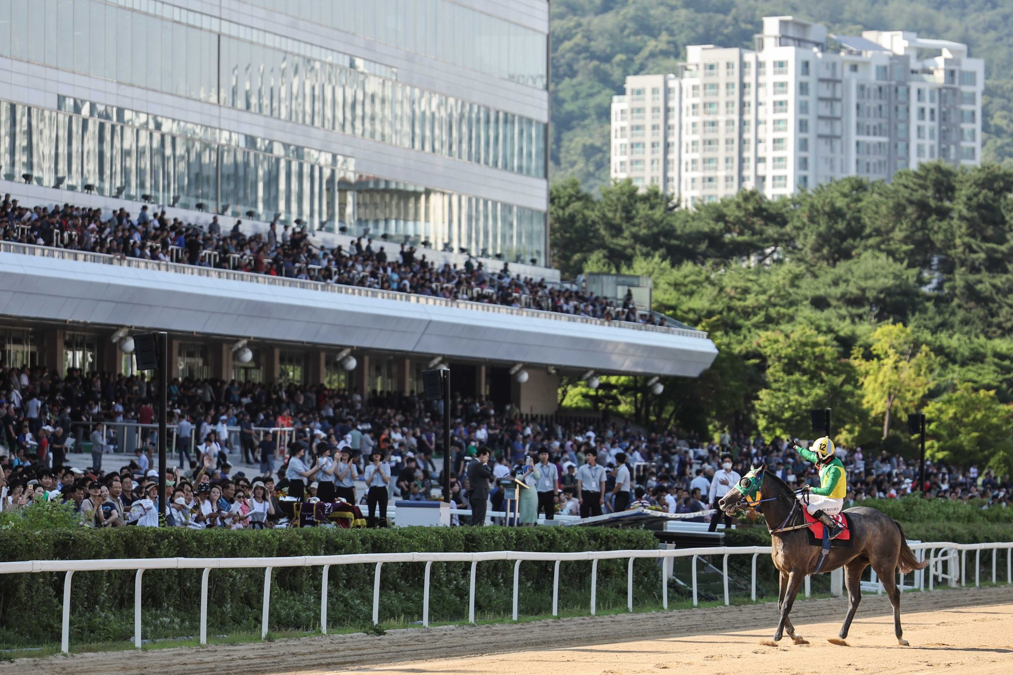 Horse Racing in Korea | Korea Racing Blog