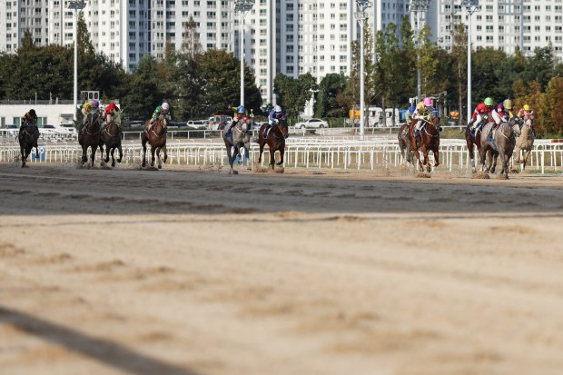Horse Racing in Korea | Korea Racing Blog