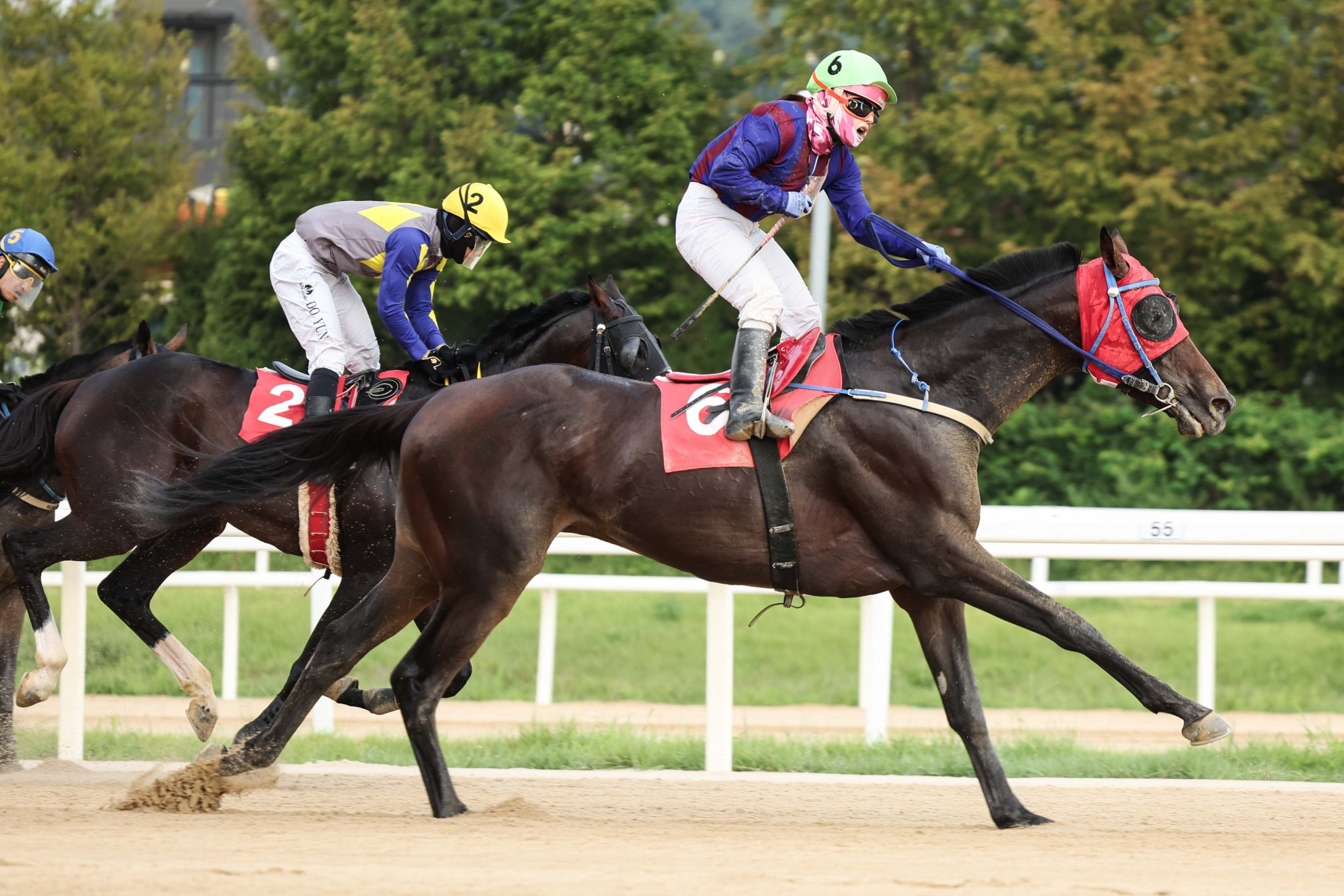 Horse Racing in Korea | Korea Racing Blog